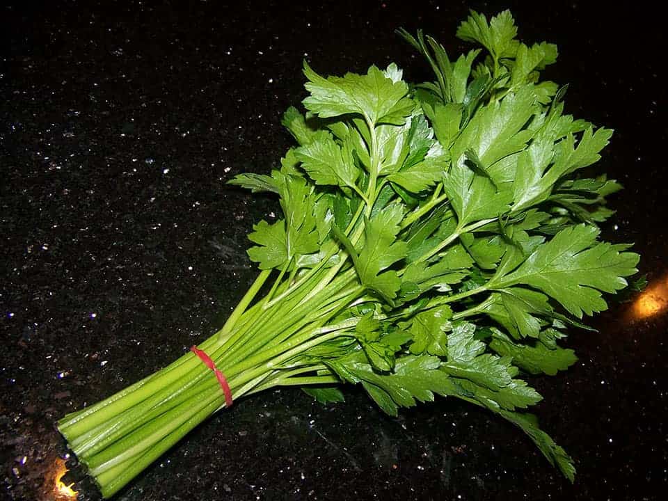 Products - Bare Essentials Vegetable & Herb Farm Gatton, Lockyer Valley